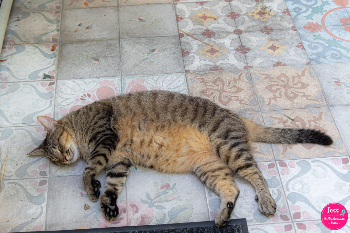 AU CŒUR DE LA VIE D'ERNEST HEMINGWAY... | Jess On The American Roads